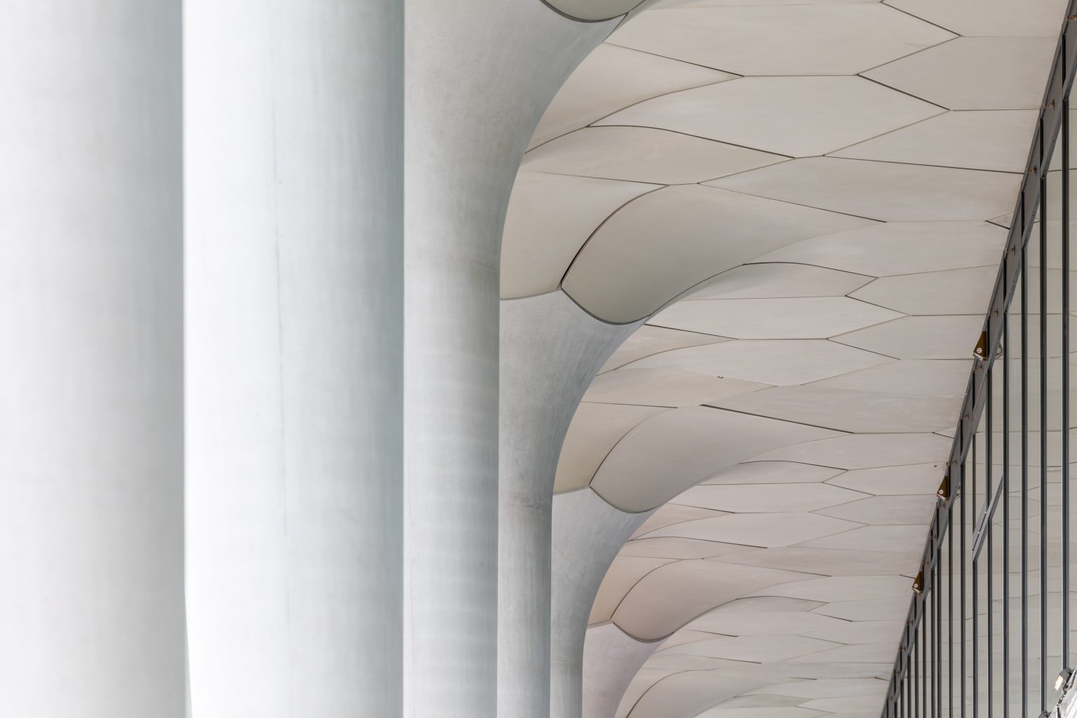 Home - Störmer Murphy and Partners